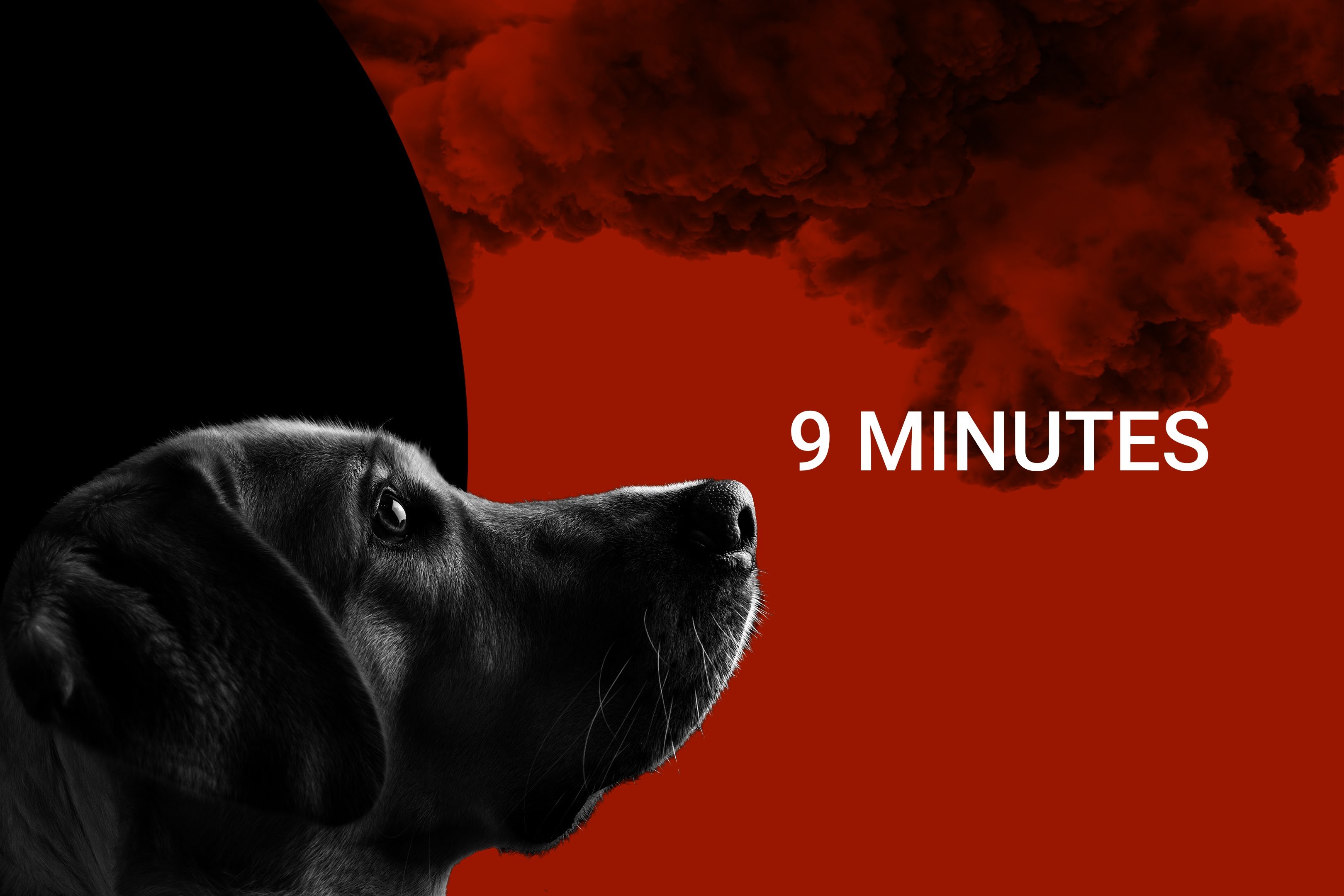 9 Minutes & McTeddy Shocking Experience! | The Daily Wealthy Affiliate